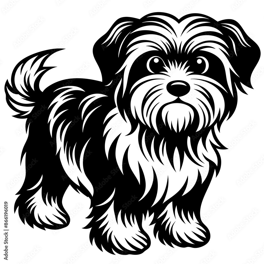 Maltese dog silhouette Vector and illustration isolated on white ...