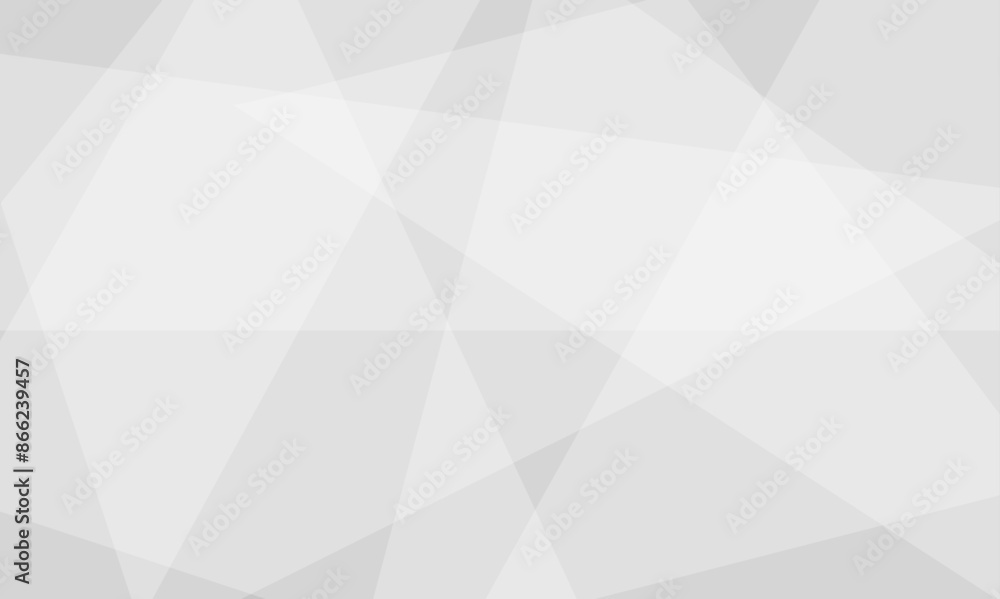 Abstract white and grey geometric triangle background design for poster, banner, web, Portfolio ...