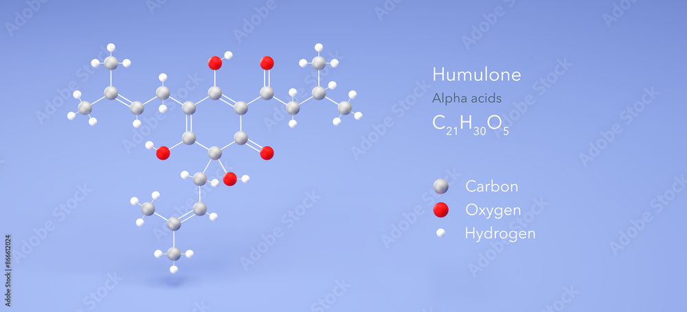 humulone molecule, molecular structure, alpha acids, 3d model ...