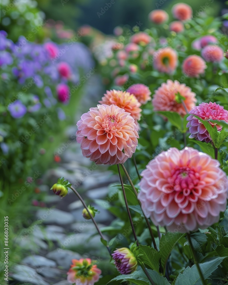 Track bloom progression timelines to plan and maintain a vibrant garden ...