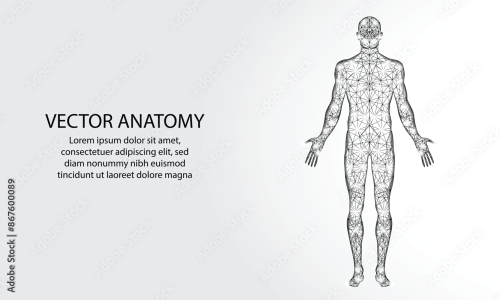 เวกเตอร์ Stock Human body. Abstract vector. Digital anatomy, Medical ...