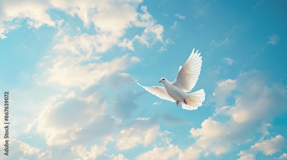 Space sky funeral background with white dove in flight, serene and ...