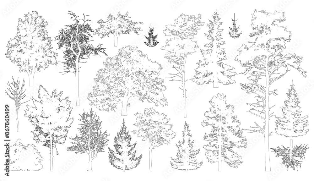 Set of coniferous and deciduous trees for architecture and landscape ...