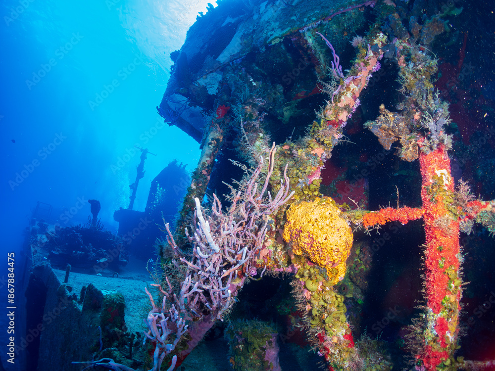 Felipe Xicotencatl C-53 shipwreck, originally named the USS Scuffle ...