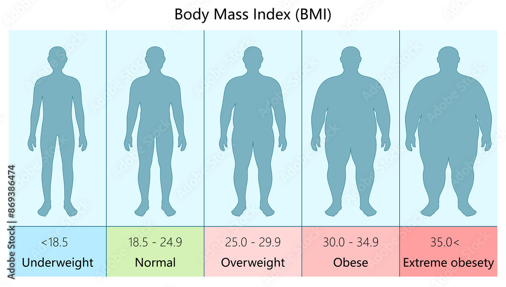 Illustrative chart showing different BMI categories underweight to ...
