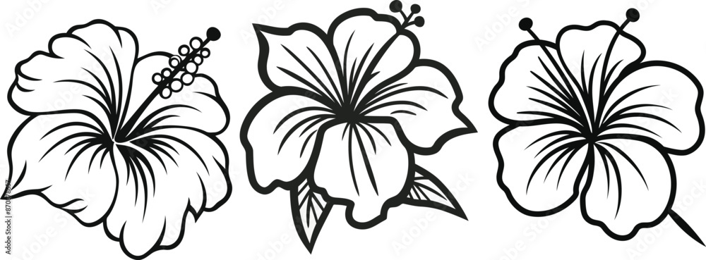 Bundle of hibiscus flower line art vector illustrations set isolated on ...