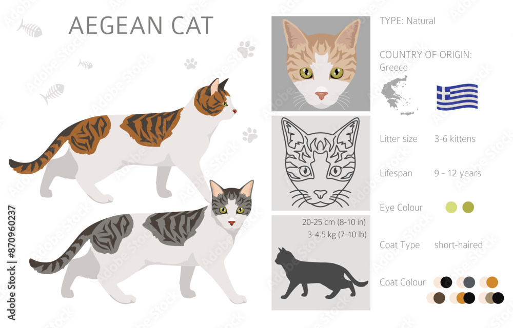 Aegean cat clipart. All coat colors set. All cat breeds characteristics ...