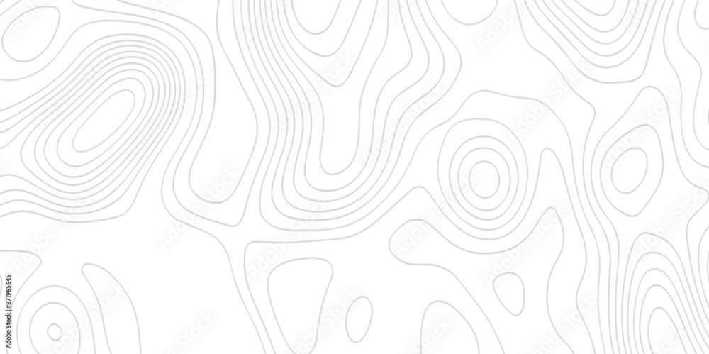 The stylize topography landscape grid map and counter wave line ...