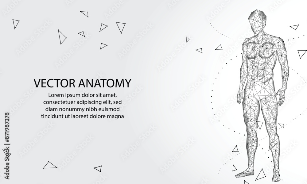Human body. Abstract vector. Digital anatomy, Medical technology ...