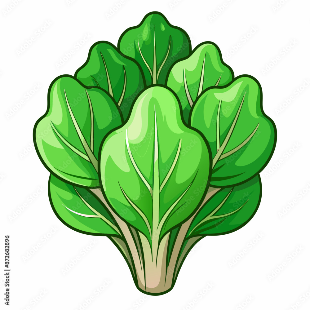 choi sum clipart cartoon Illustration drawing Stock Vector | Adobe Stock