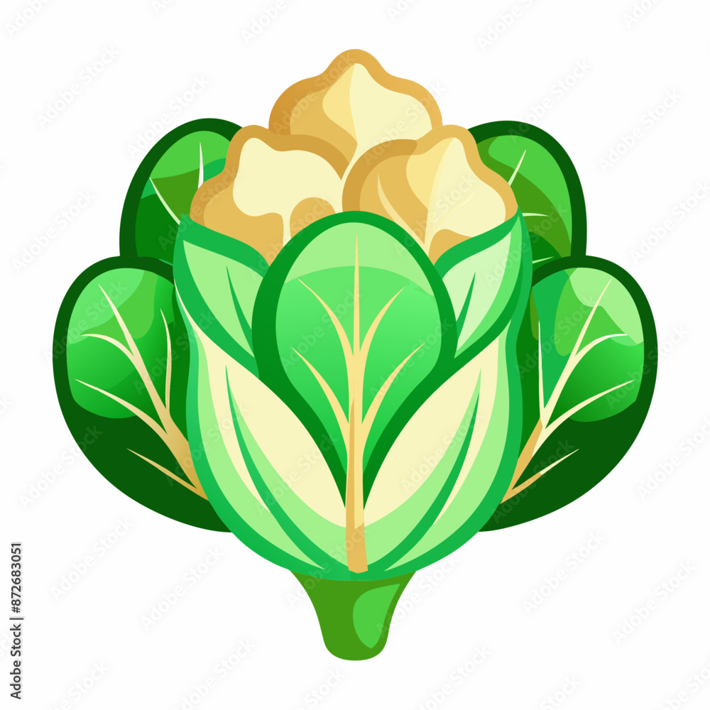 choi sum clipart cartoon Illustration drawing Stock Vector | Adobe Stock