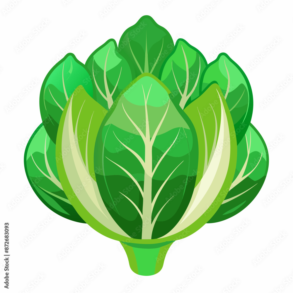 choi sum clipart cartoon Illustration drawing Stock Vector | Adobe Stock