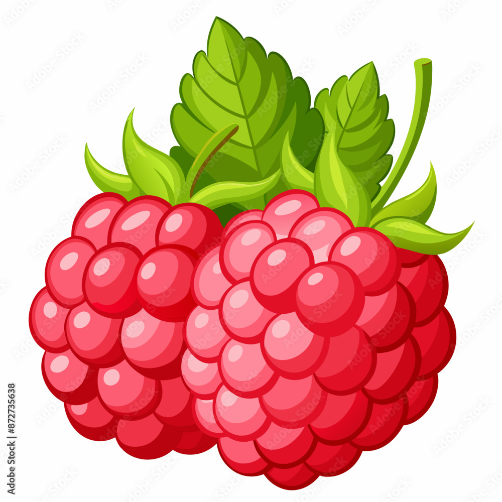 raspberries clipart cartoon Illustration drawing Stock Vector | Adobe Stock