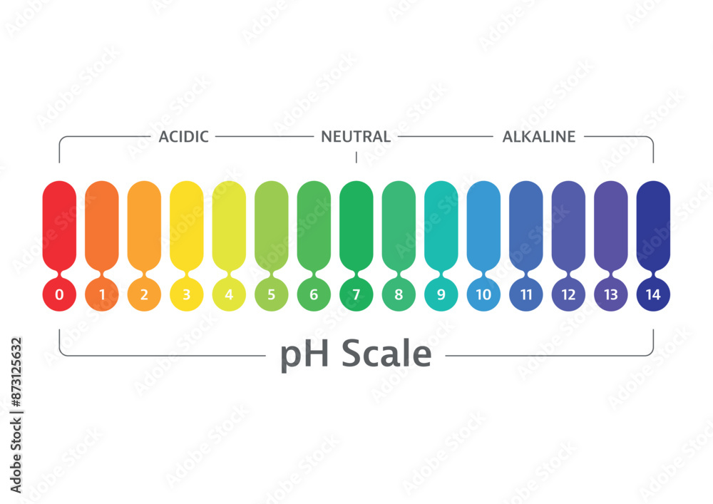 ph chart on white background. acidic and alkaline scale. vector pH scale Stock Vector | Adobe Stock