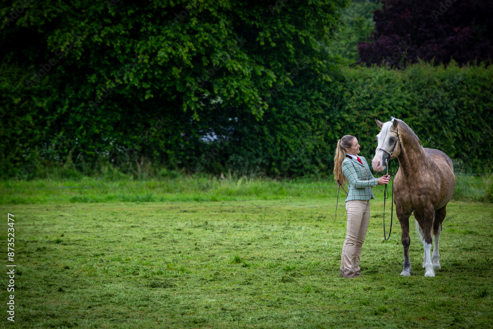 Young female competing in a in hand horse show competition, Image shows ...
