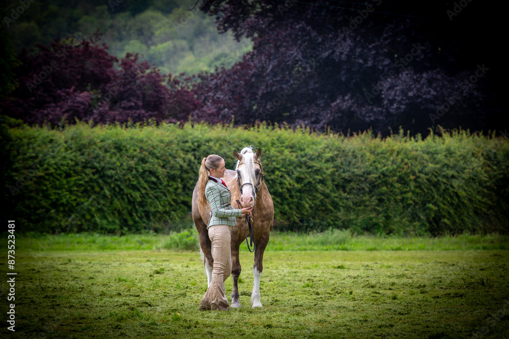 Young female competing in a in hand horse show competition, Image shows ...