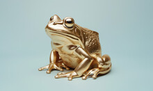 Frog Artifact Free Stock Photo - Public Domain Pictures