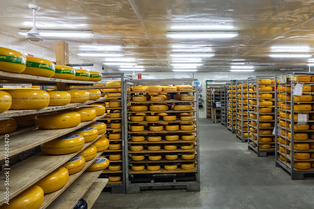 Wezenspyk cheese farm is well known on Texel. Wezenspyk cheesemakers ...