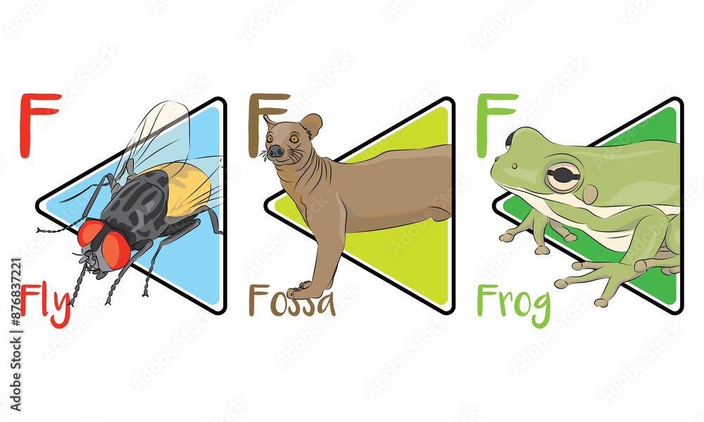 Animals that start with the letter F are Flies, Fossa, and Frog—three ...