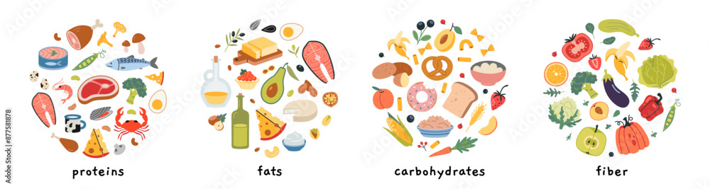 Carbohydrate, protein, fat and fiber sources product infographic ...
