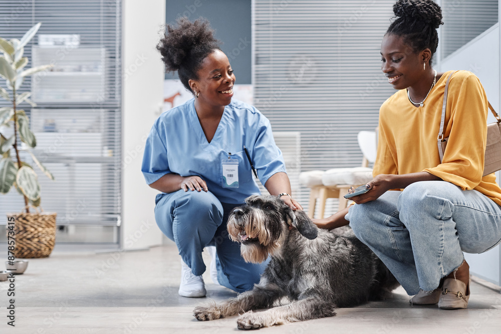 Shot of smiling female African American dog owner and vet doctor ...