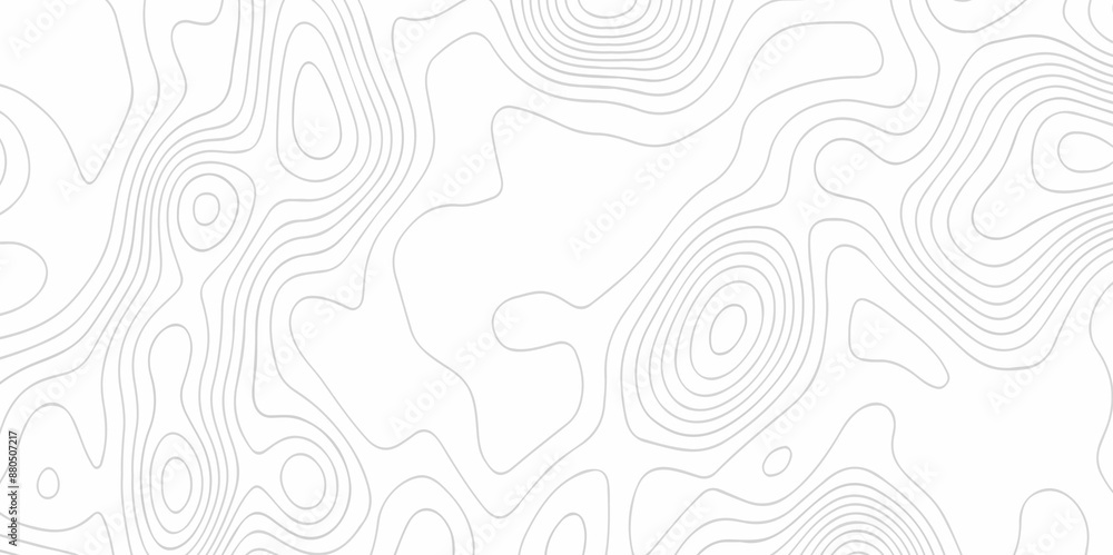 The stylize topography landscape grid map and counter wave line ...