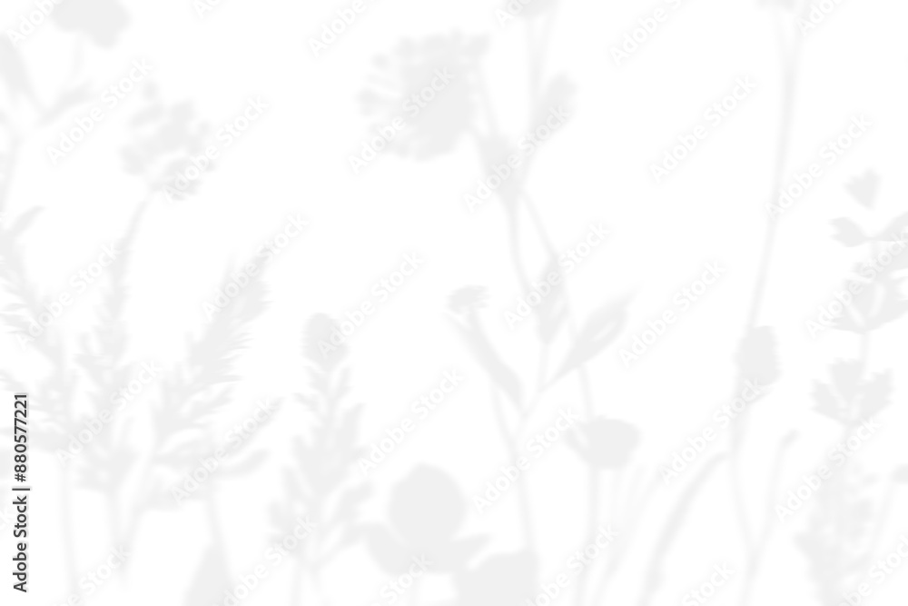 Floral shadow png nature overlay effect, transparent background Stock ...