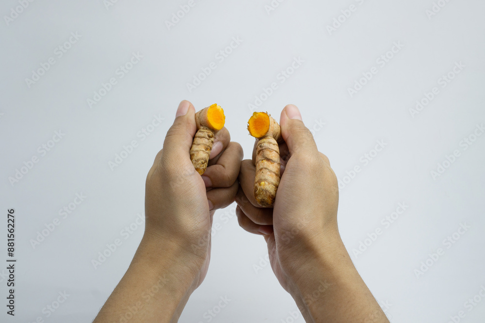 Human hands are breaking turmeric. Turmeric is a typical Indonesian ...