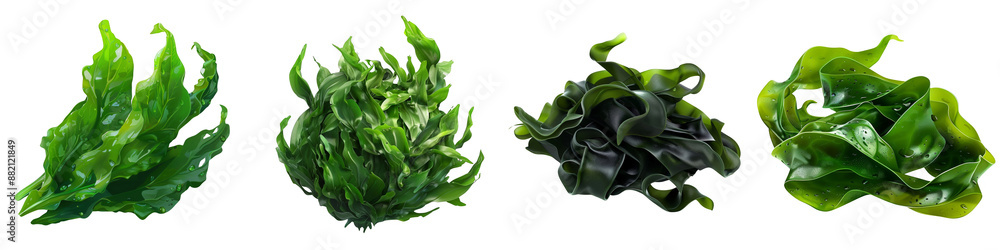 Wakame clipart collection, symbol, logos, icons isolated on transparent ...