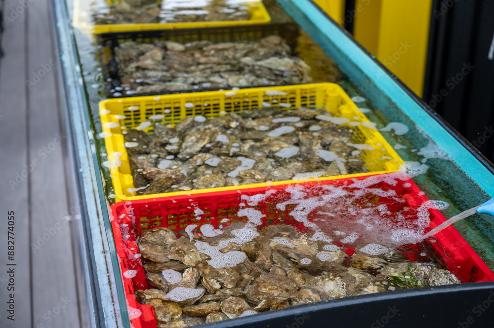 Travelling in France, old wooden huts and oysters farms in Gujan ...