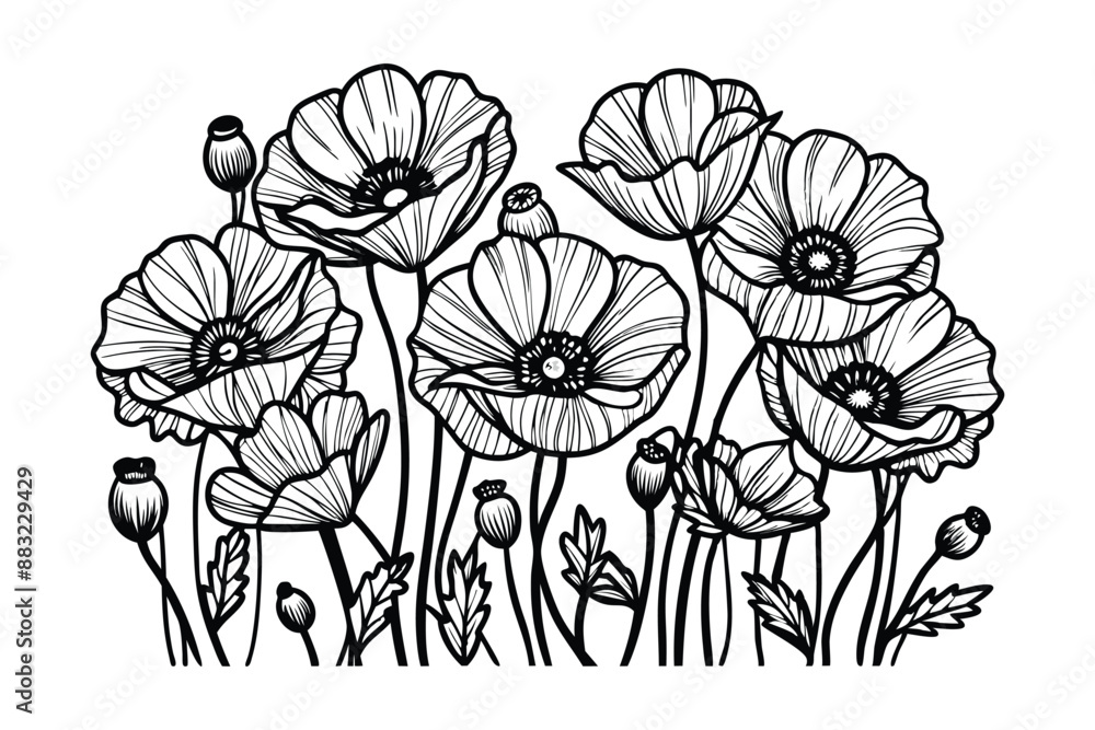 Poppies, simple outline and shapes of A coloring page, coloring book ...