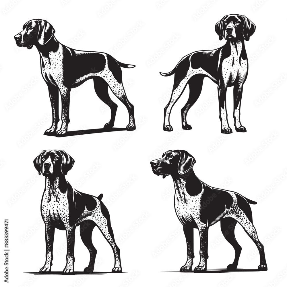 Black and White German Shorthaired Pointer Silhouettes in different ...