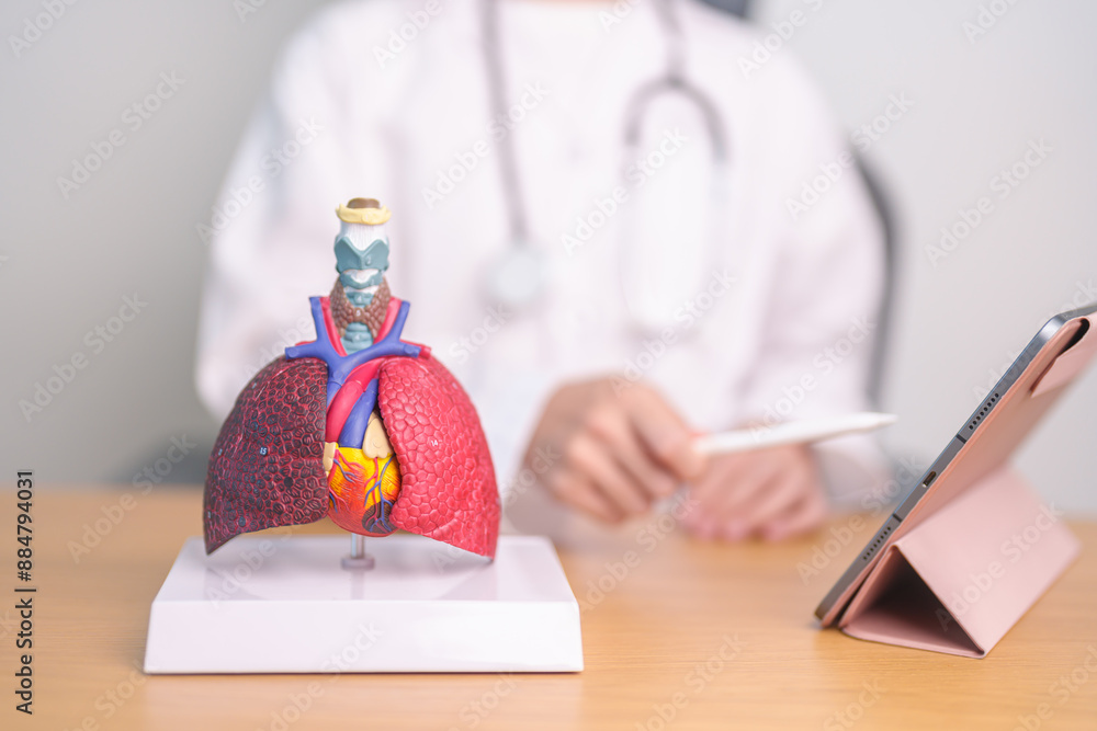 Doctor with Respiratory system anatomy for Diseases. Lung Cancer ...