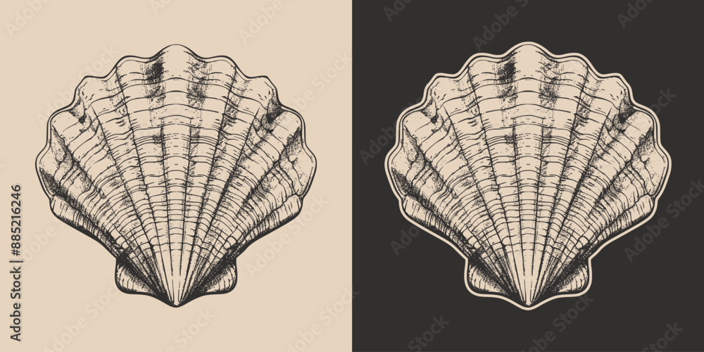 Vintage retro engraving woodcut style sketch draw paint of nautical ...