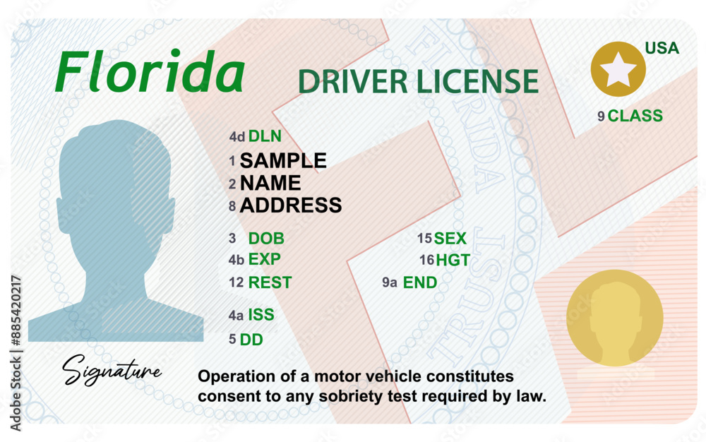 Florida driver's license isolated on white background. Person driver ...