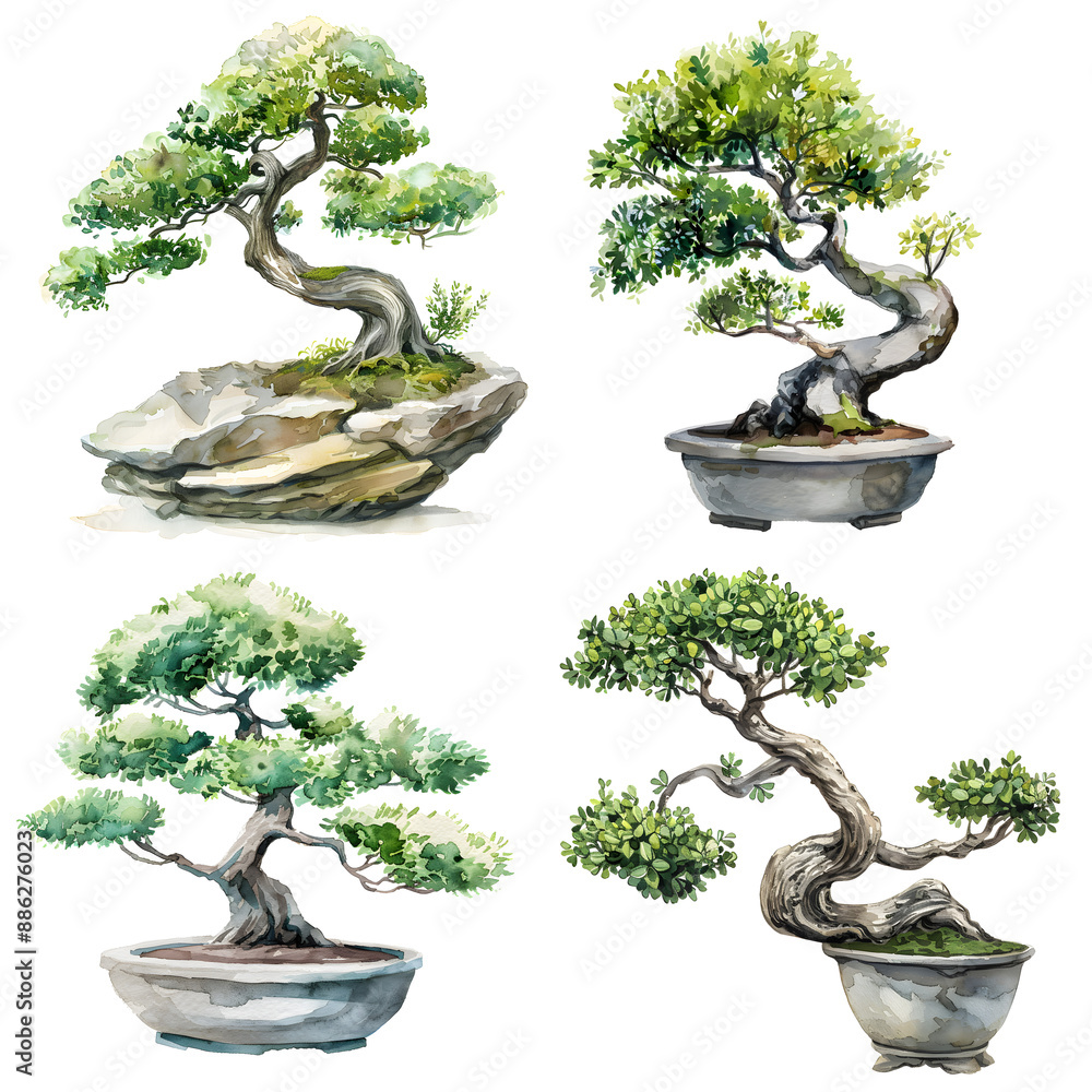 Trees front view, PNG, watercolor style vector tree, bonsai ...
