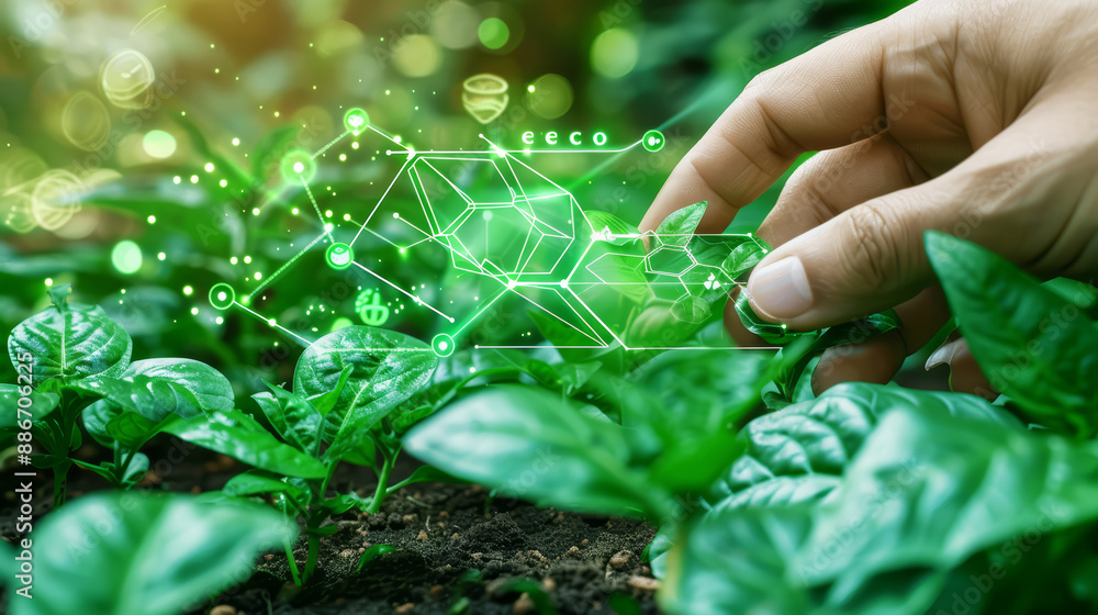 Genetic engineering, biotechnology, green energy, environmental ...