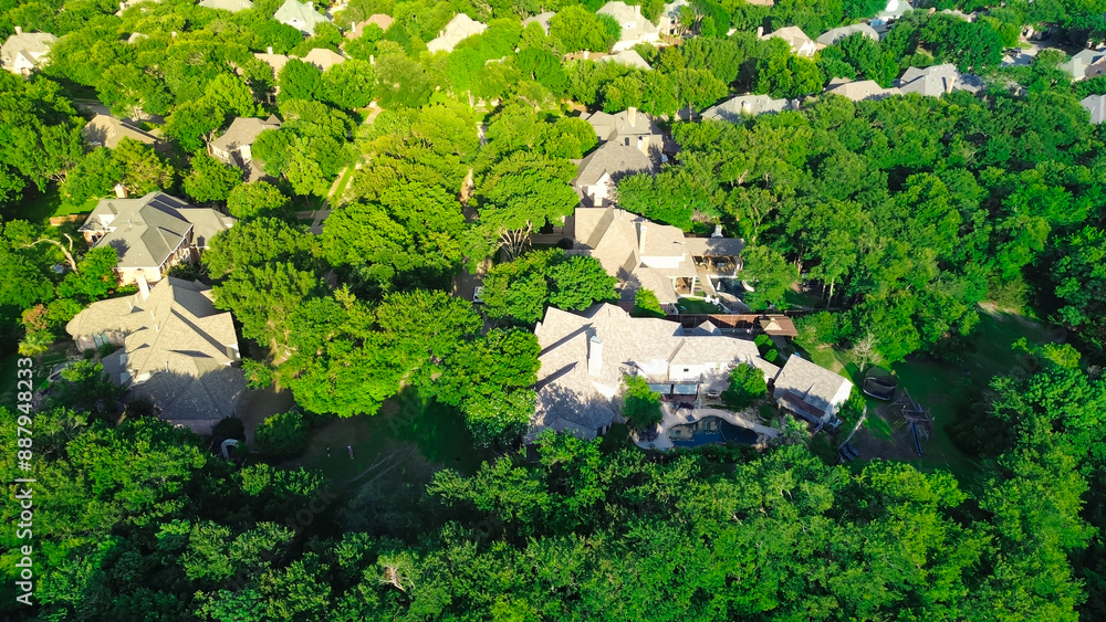 Greenery lush forested area surrounding large mansion houses in upscale ...
