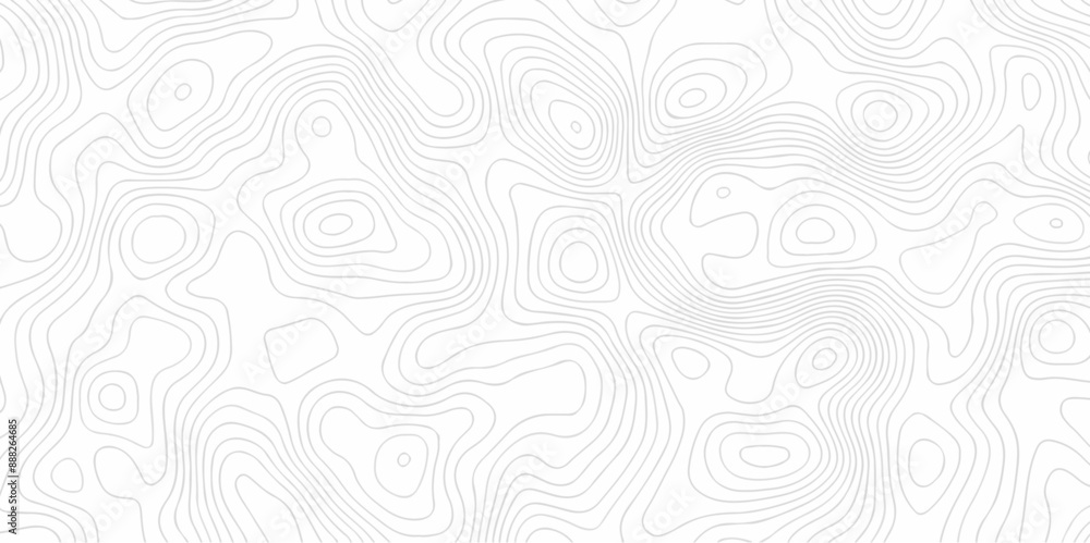 Vector white wave line geography landscape Topo contour map on white ...