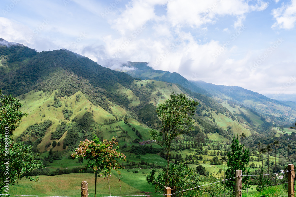 Beautiful scenery of the Cocora Valley in Colombia. Trips and beautiful ...