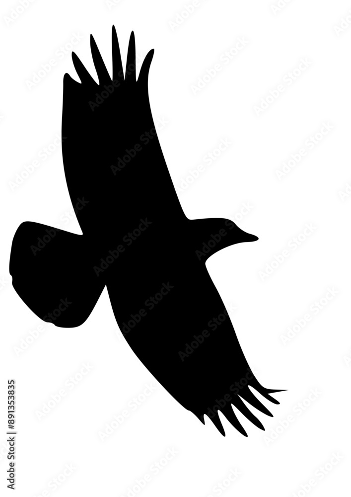 Raven SVG, Crow SVG, Bird SVG, Hunting SVG, Predator SVG, Eagle SVG ...