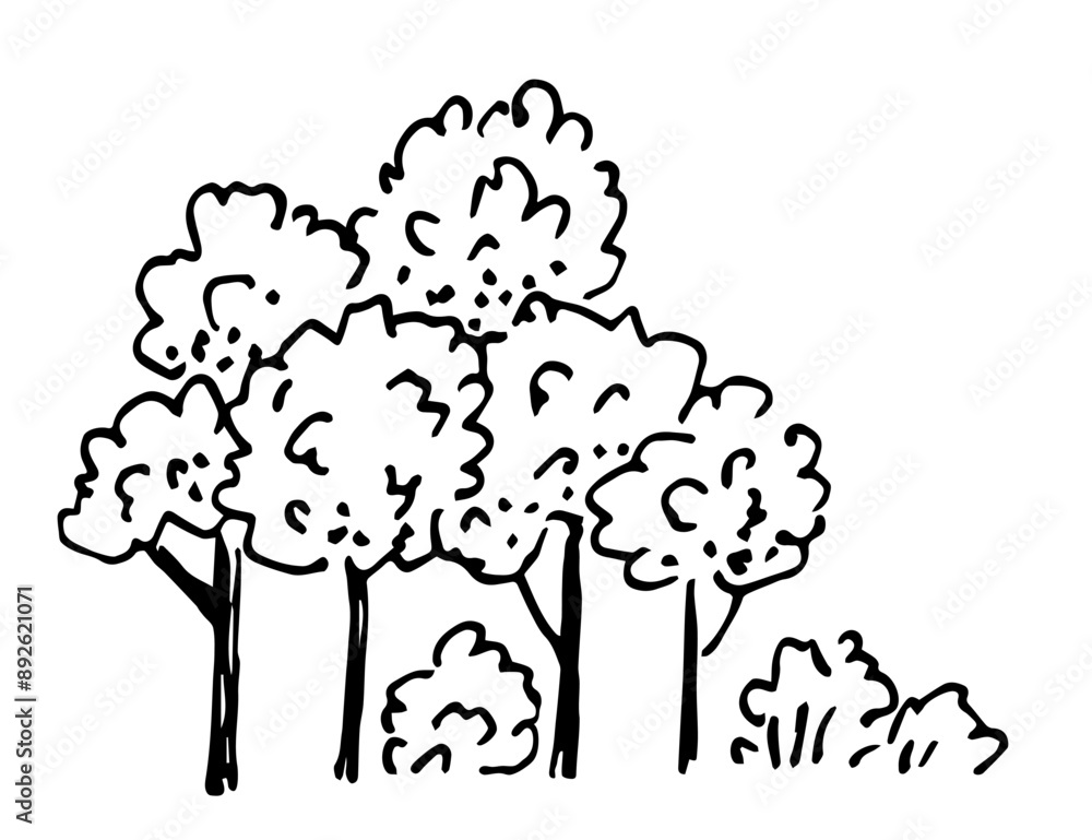 Group of deciduous trees and shrubs, bushes, grove, forest. Nature and ...