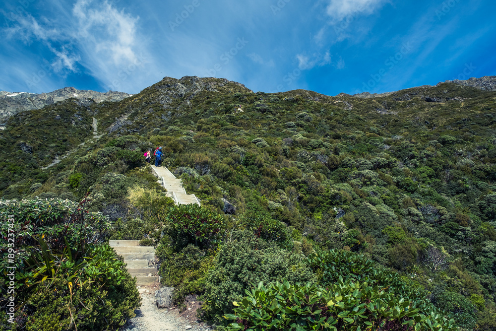 This image features a steep pathway winding through lush mountainous ...