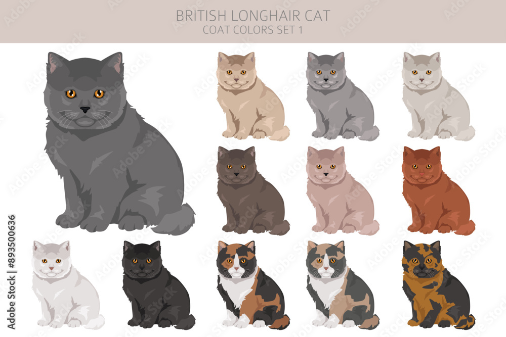 British longhair Cat clipart. All coat colors set. All cat breeds ...