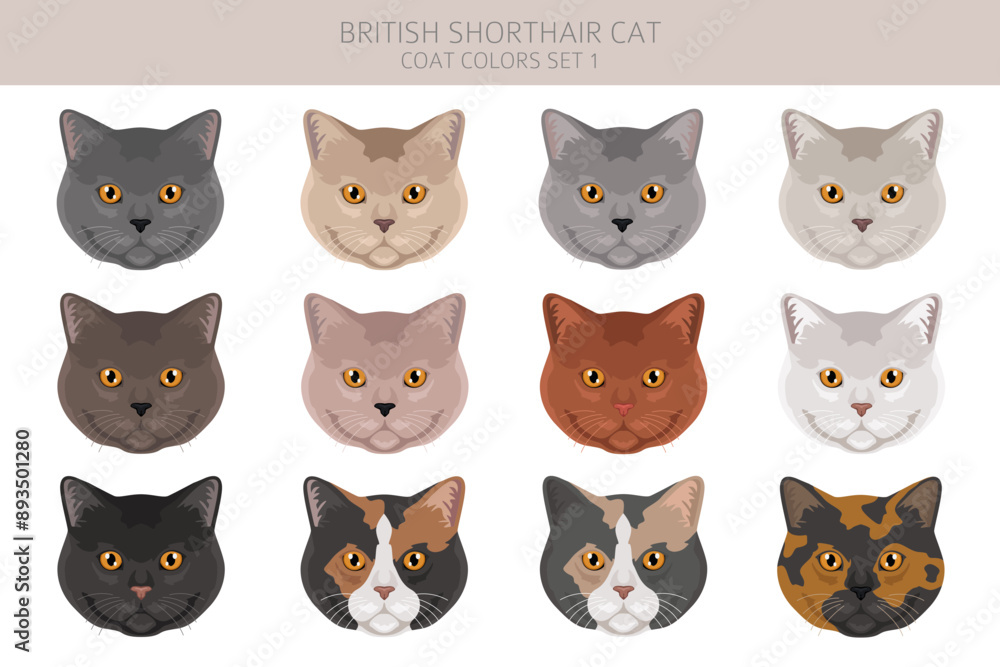 British shorthair Cat clipart. All coat colors set. All cat breeds ...