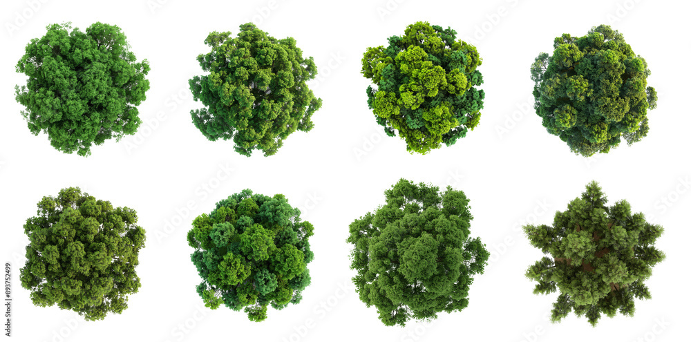 An aerial view of eight different green trees with leafy foliage ...