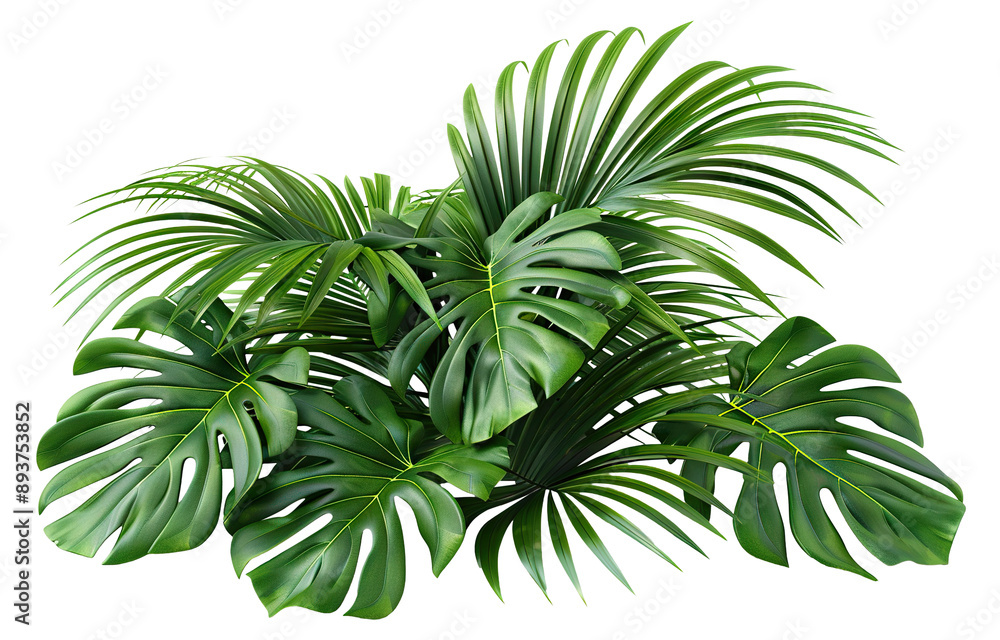 Lush green tropical plants bush, cut out Stock Photo | Adobe Stock