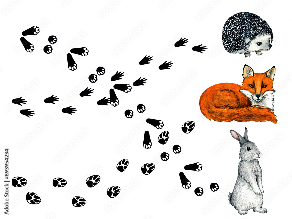 Wild animal tracks. Children's game with animals footprint in black ...
