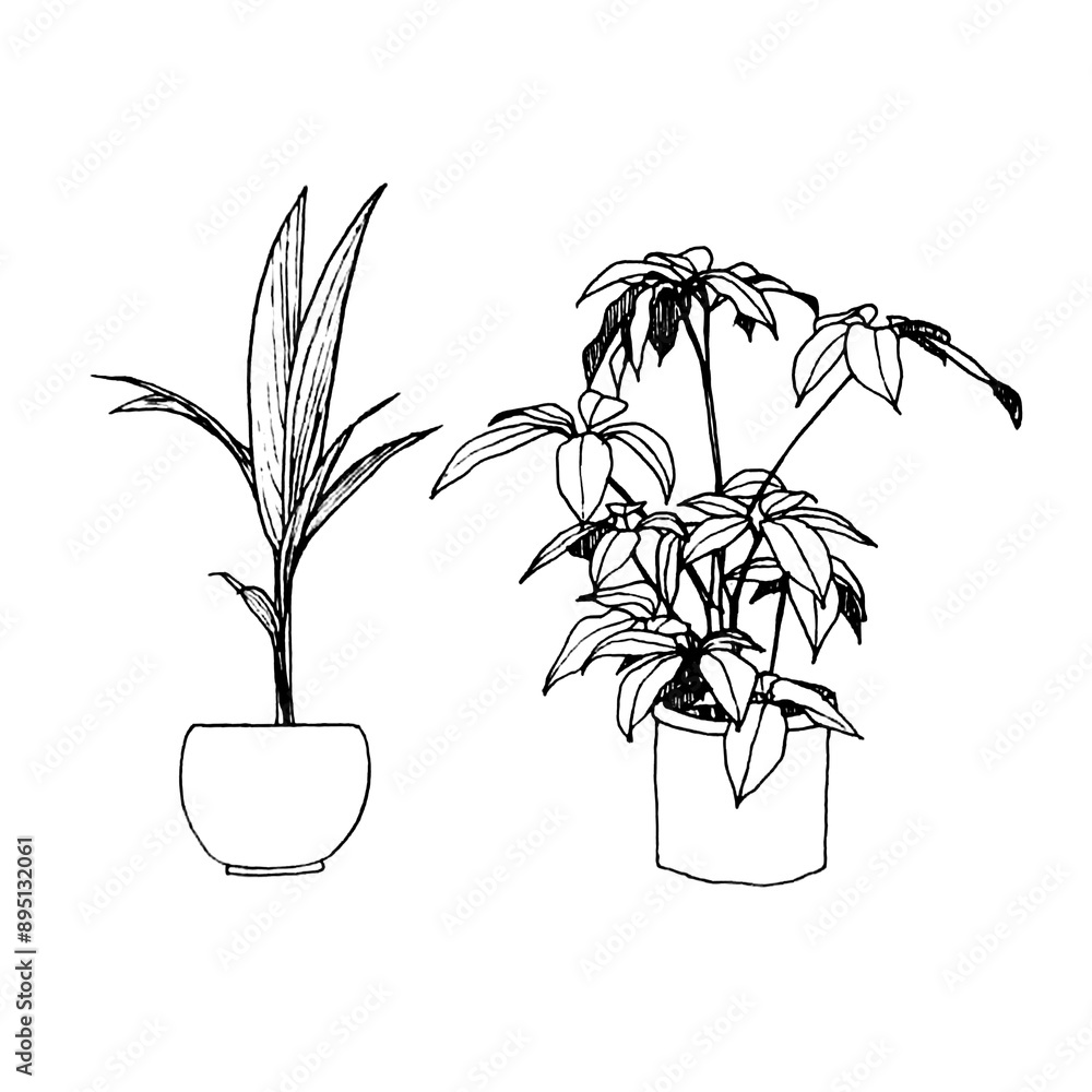 hand draw sketch of tree plant planter pen drawing for interior design ...