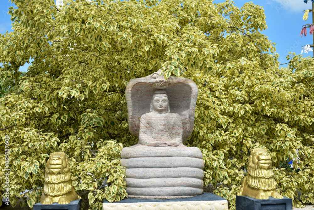 White Bodhi Tree with Statue of Lord Buddha at Nagadeepa Purana Vihara ...